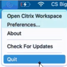 Install - Citrix